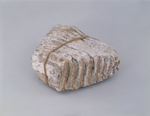 Nara National Museum “72nd Shosoin Exhibition” Opened – ADF Web ...