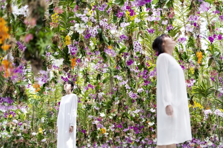 teamLab Planets Opens a New Area where Massive Flower and Outdoor Moss ...