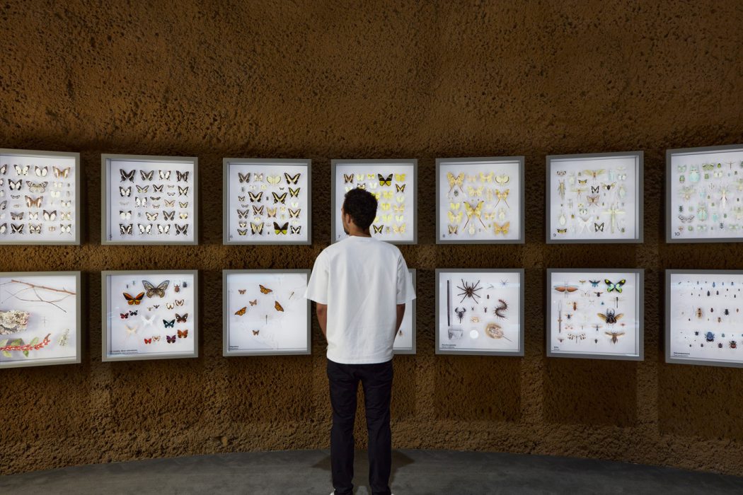 Metamorphosis of the Montréal Insectarium – ADF Web Magazine ...