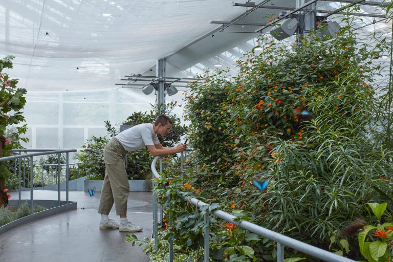 Metamorphosis of the Montréal Insectarium – ADF Web Magazine ...