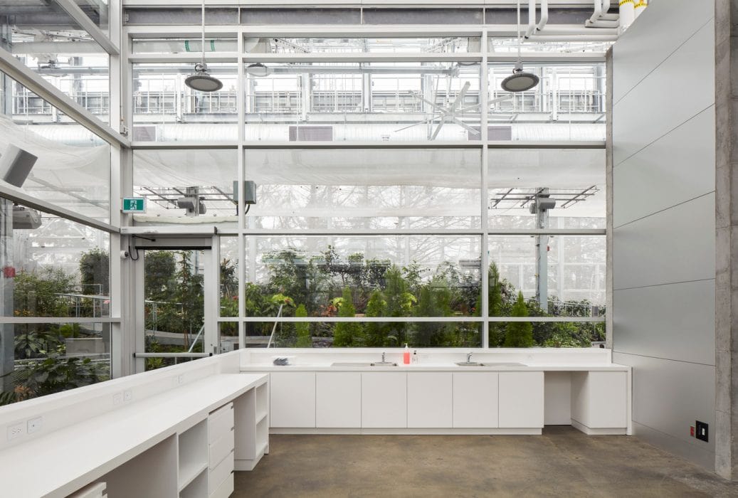 Metamorphosis of the Montréal Insectarium – ADF Web Magazine ...