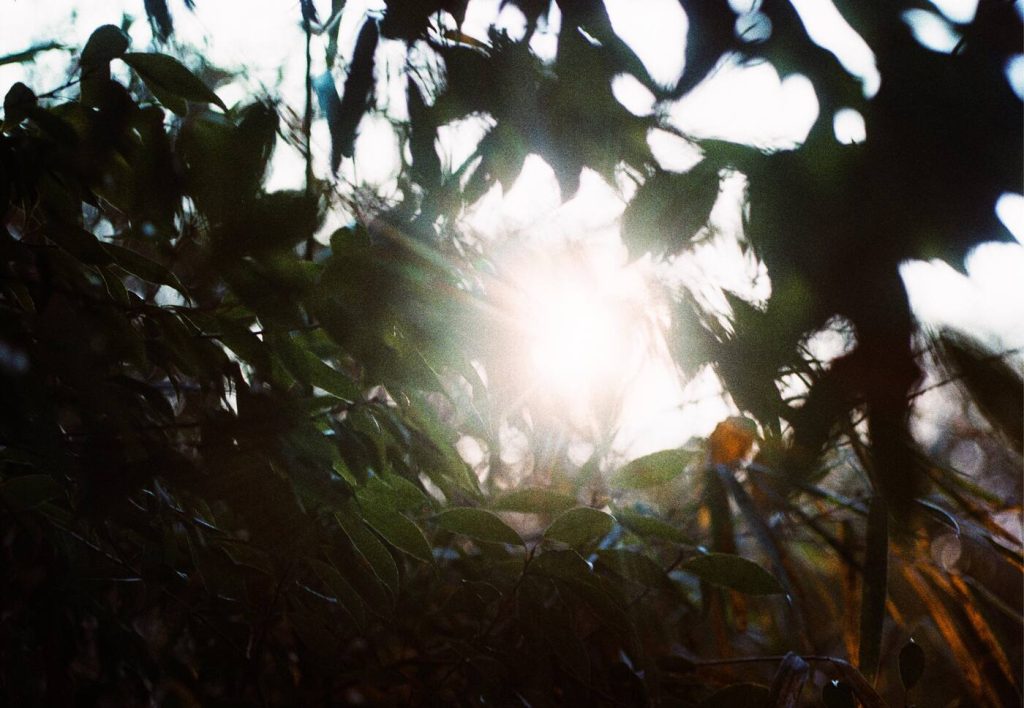 Yusuke Kikuchi Photo Exhibition “Phenomenon” at shop & gallery elephant ...