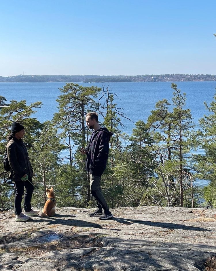 Artipelag, An Art Lover’s Haven Twelve Miles East of Stockholm City ...