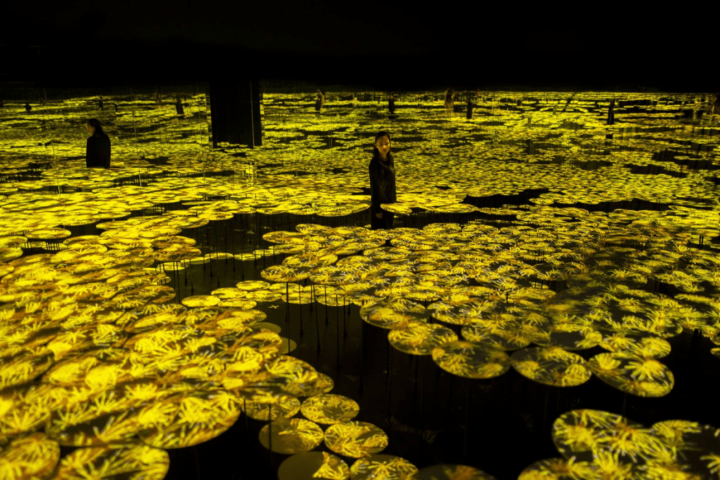 teamLab Borderless Shanghai – ADF Web Magazine – Architecture×Art× ...